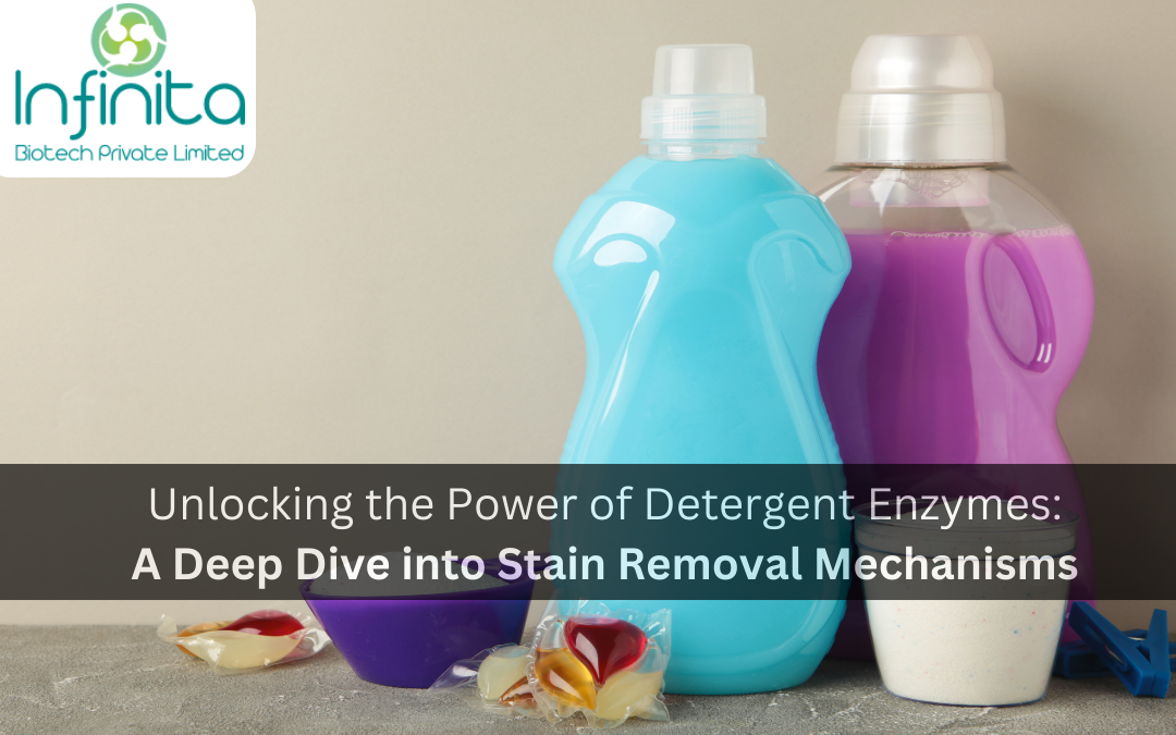 Unlocking the Power of Detergent Enzymes: A Deep Dive into Stain ...