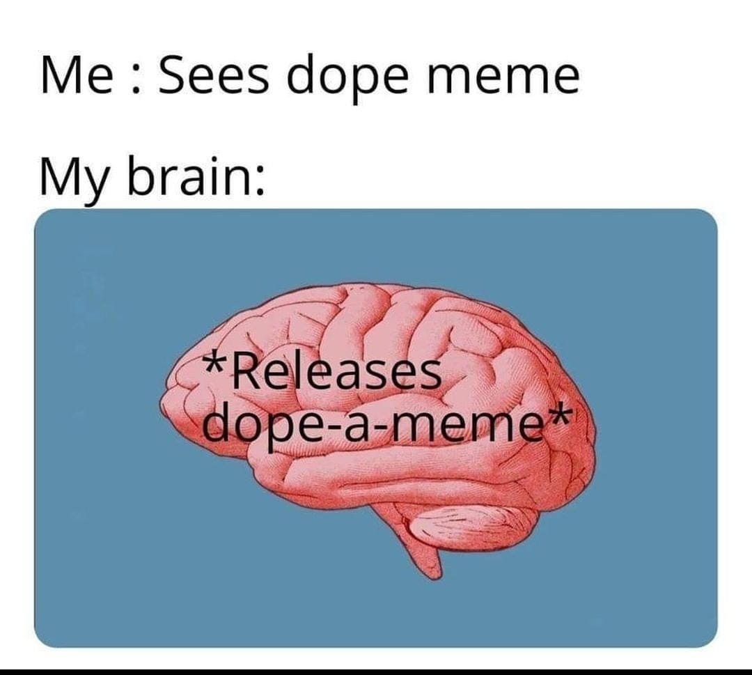 IM A DOPAMINE ADDICT. I LOVE DOPAMINE. I CRAVE IT. IT’S LITERALLY WHY I ...