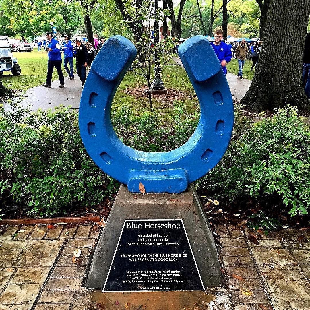 Cultural Campus. MTSU has turned itself in a breeding… | by Isaiah ...