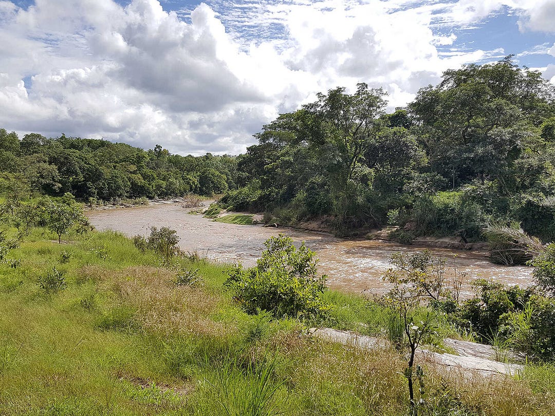 The forest-savanna mosaic in Togo, West Africa | by Adhisty Larasati ...