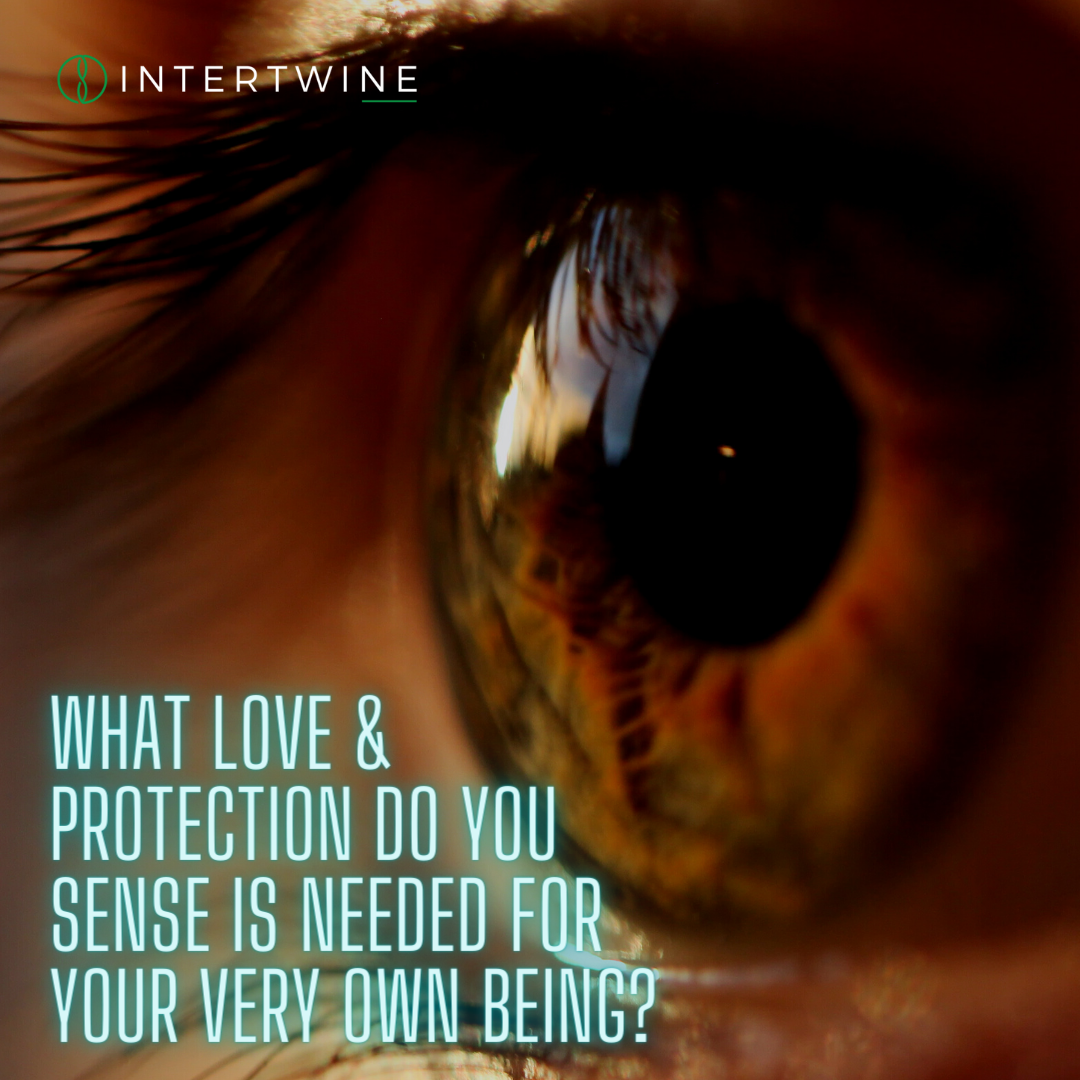 Love & protect your very own being — 40+8 Day Thirteen | by Mike Rusert ...