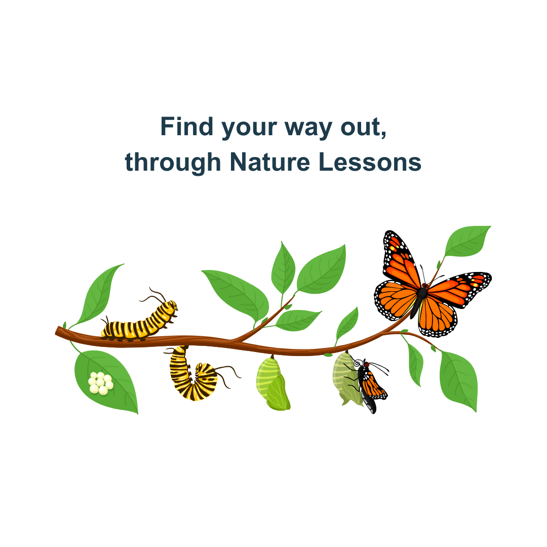 Find your way out through nature lessons. | by Mehnaz Amjad | Jan, 2024 ...