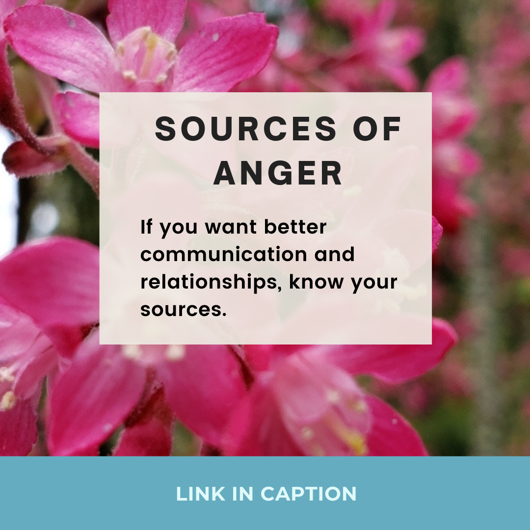 Thich Nhat Hanh on Anger and Communication | by Tyffany Nguyen | Medium
