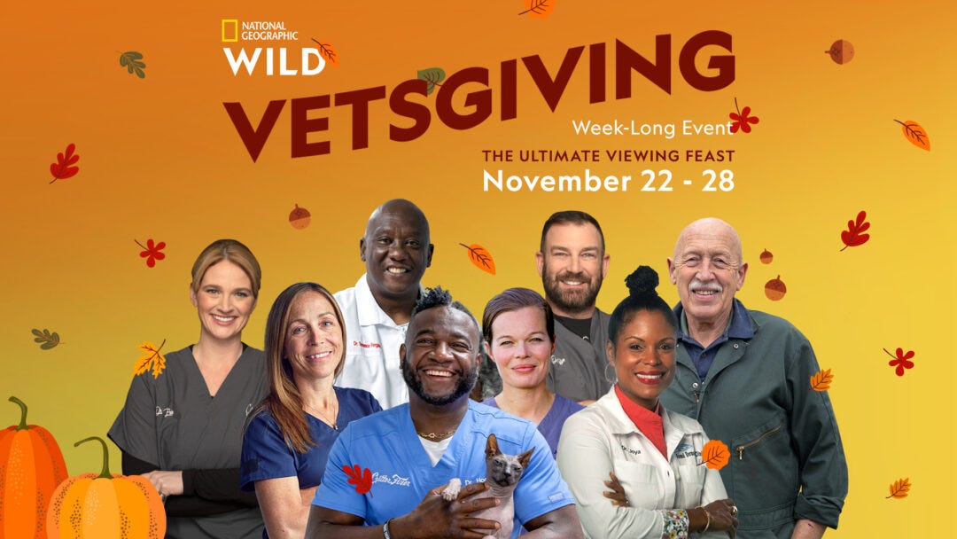 Vetsgiving is a week-long celebration of all the furry creatures and ...