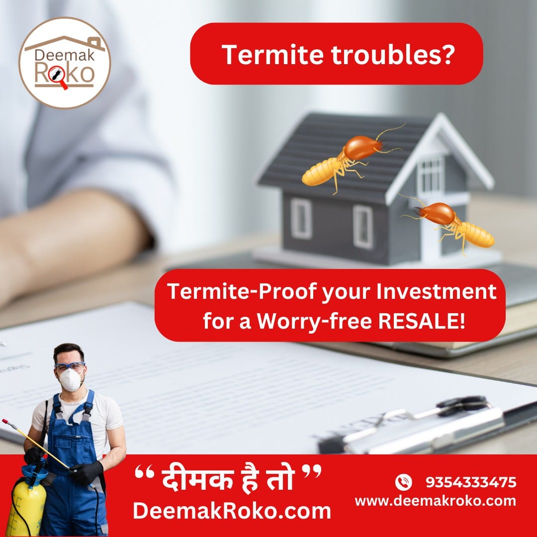 Protect Your Investment: Termite-Proof Your Property for a Hassle-Free ...