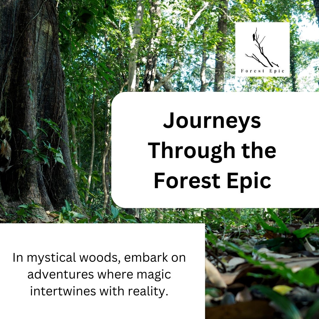 Journey Through the Forest Epic - William S. - Medium