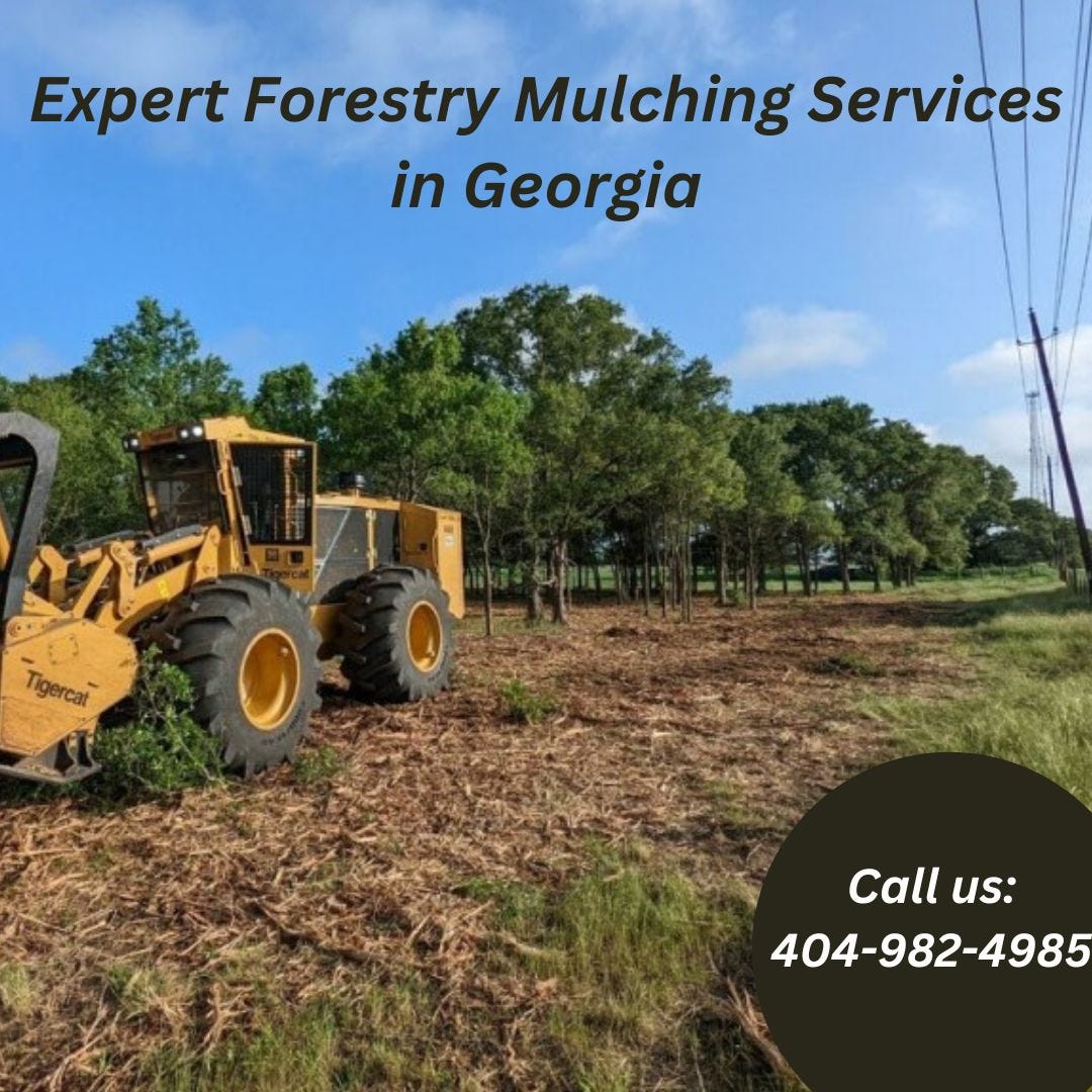 Expert forestry mulching services in Georgia - Peach State Georgia Land ...