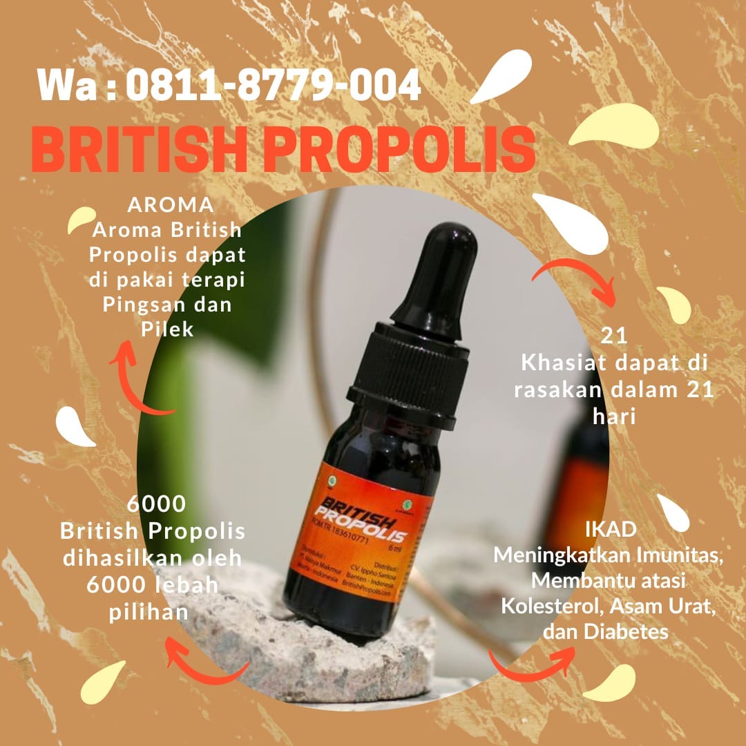 VIRAL, WA/CALL 0811–8779–004, Obat Diabetes Alami British Propolis ...