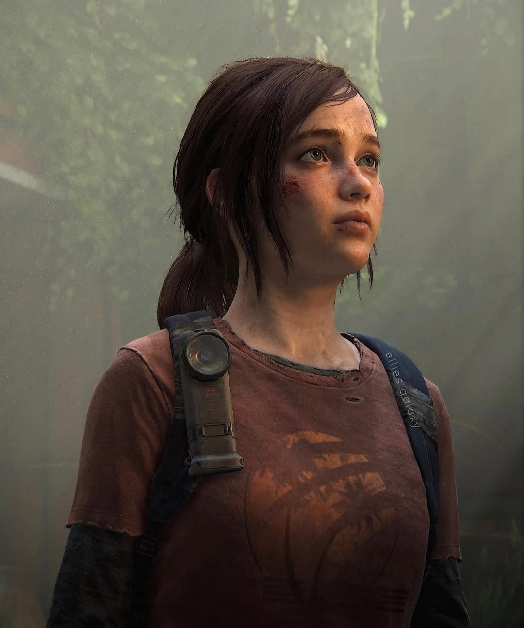 Endure and Survive: The Spirit of Ellie in The Last of Us | by ...