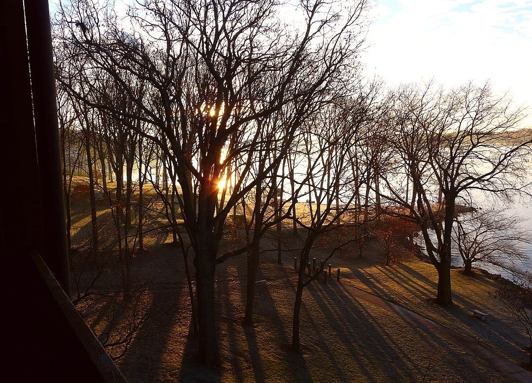 Daybreak — photo prompt | by Jim Reeves | Medium
