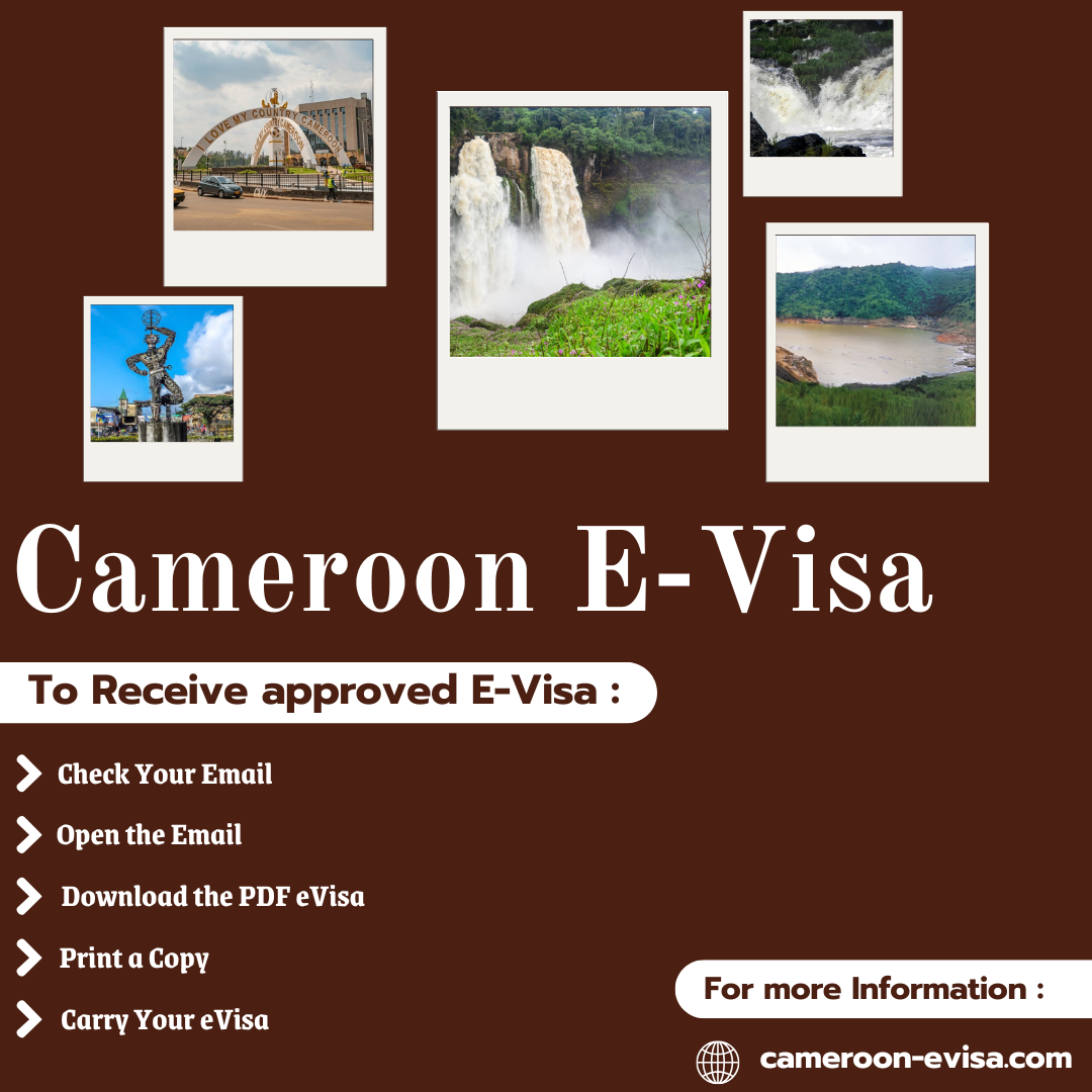 Cameroon E-Visa approval - cameroonevisa - Medium