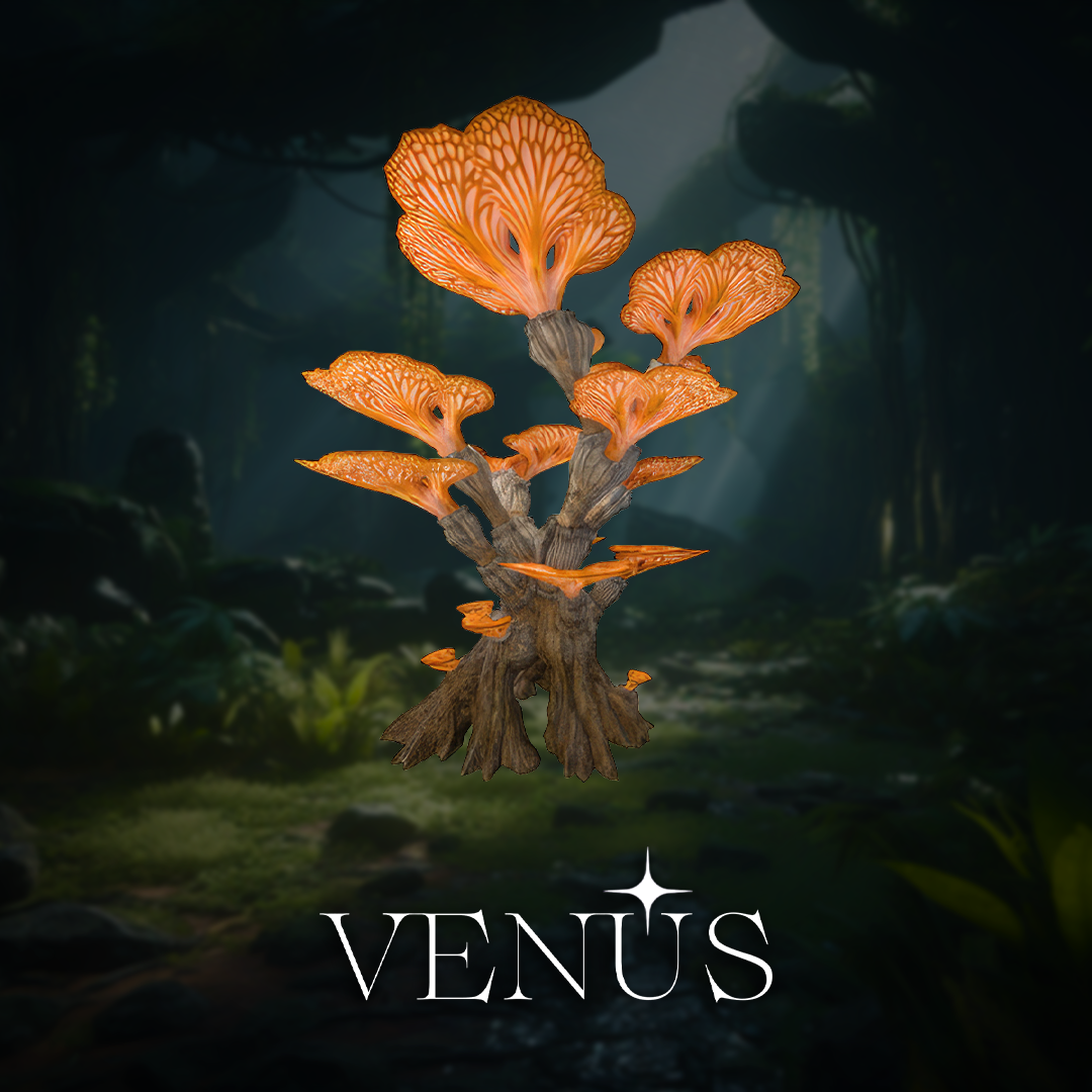 Fascinating Plants Of Venus 🌺 - Venus - Medium