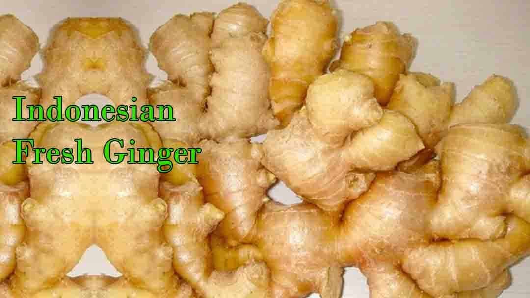 Where to Buy Indonesian Fresh Ginger: Your Complete Guide | Medium