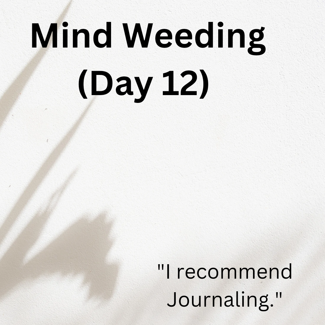 Day 12 — The Mind Weeding Series. - Scholastica Ebosetale - Medium