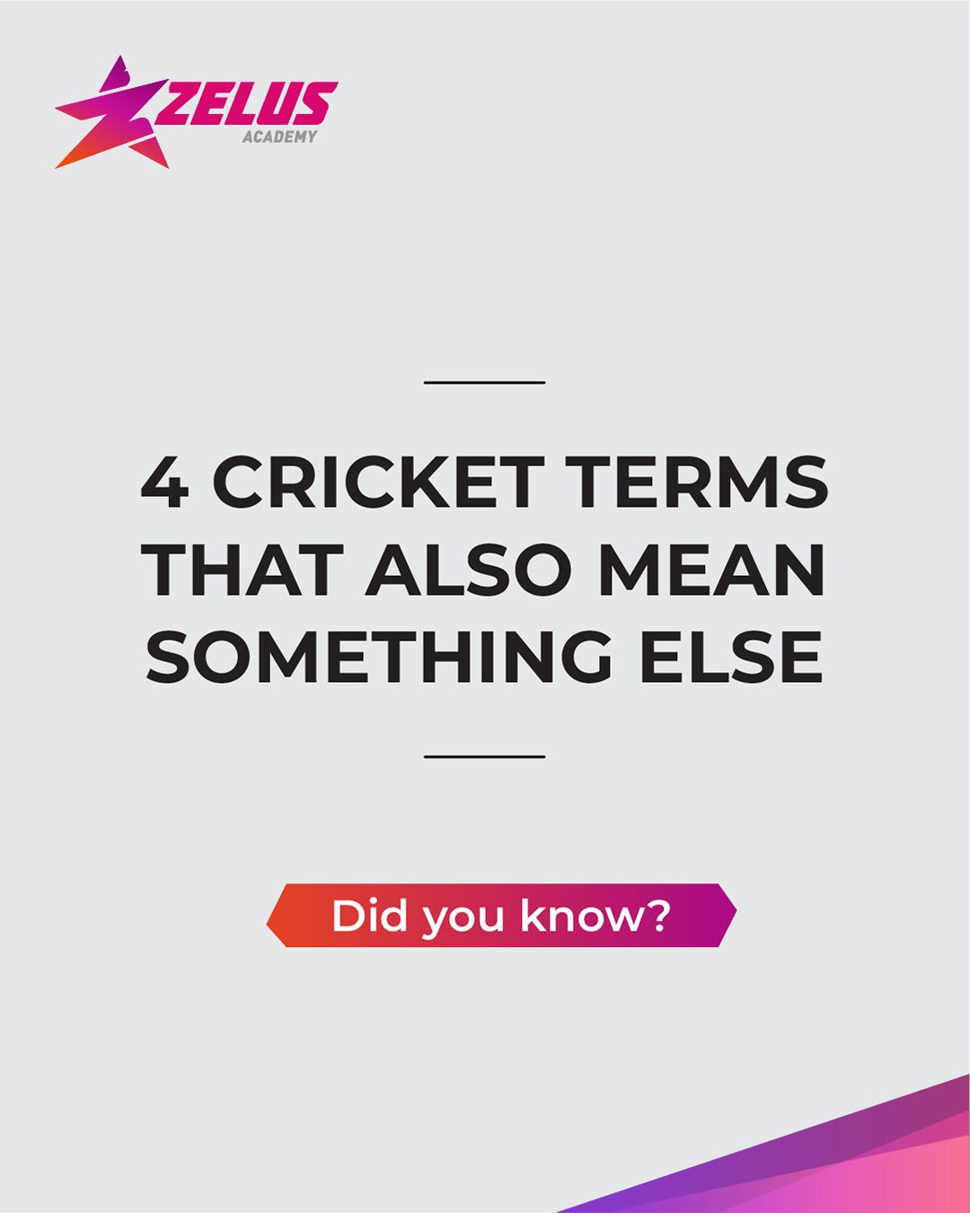4 cricket terms - Zelusacademy - Medium