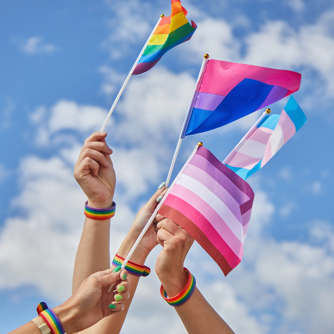 The Invisible Failure of LGBTQ+ Movements: Bi Erasure and ...
