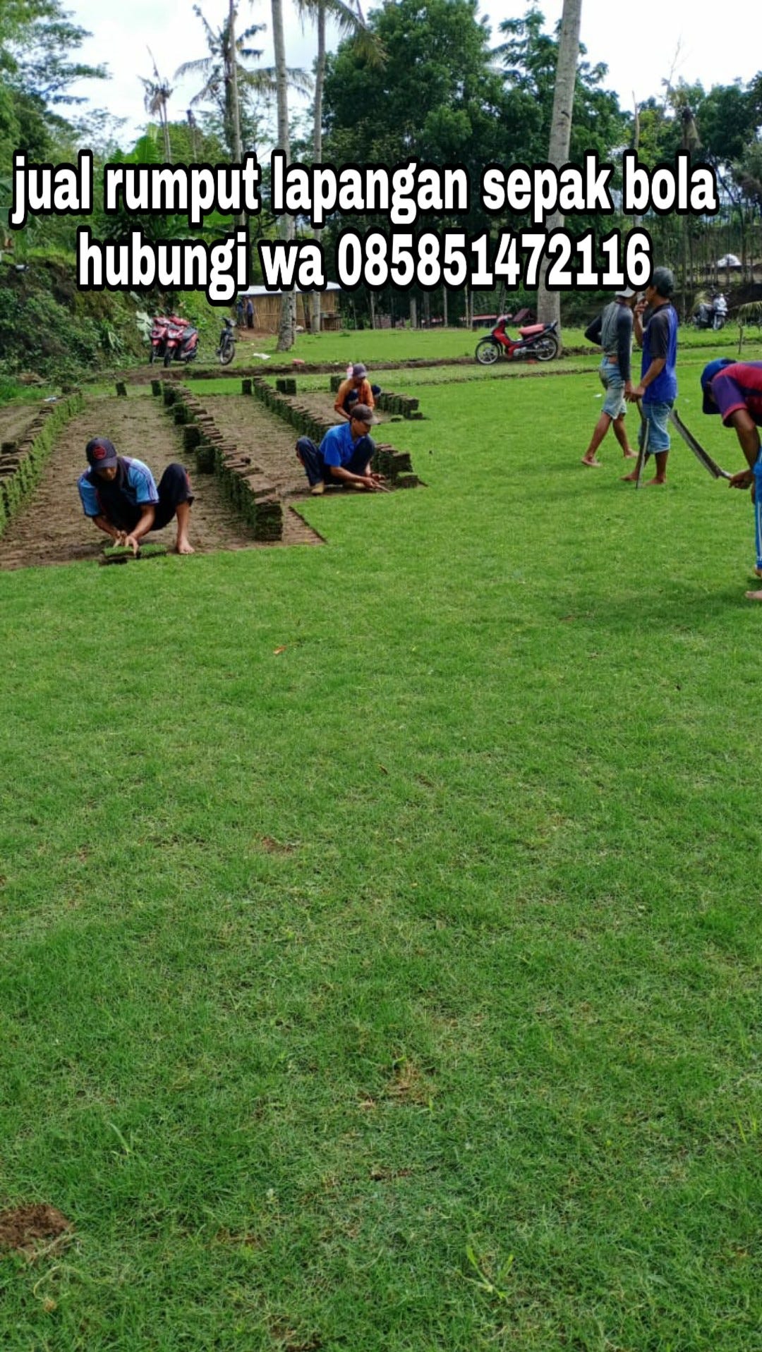 Jual Rumput Lapangan Sepakbola Kota Sukabumi | by Rumput Taman Dan ...