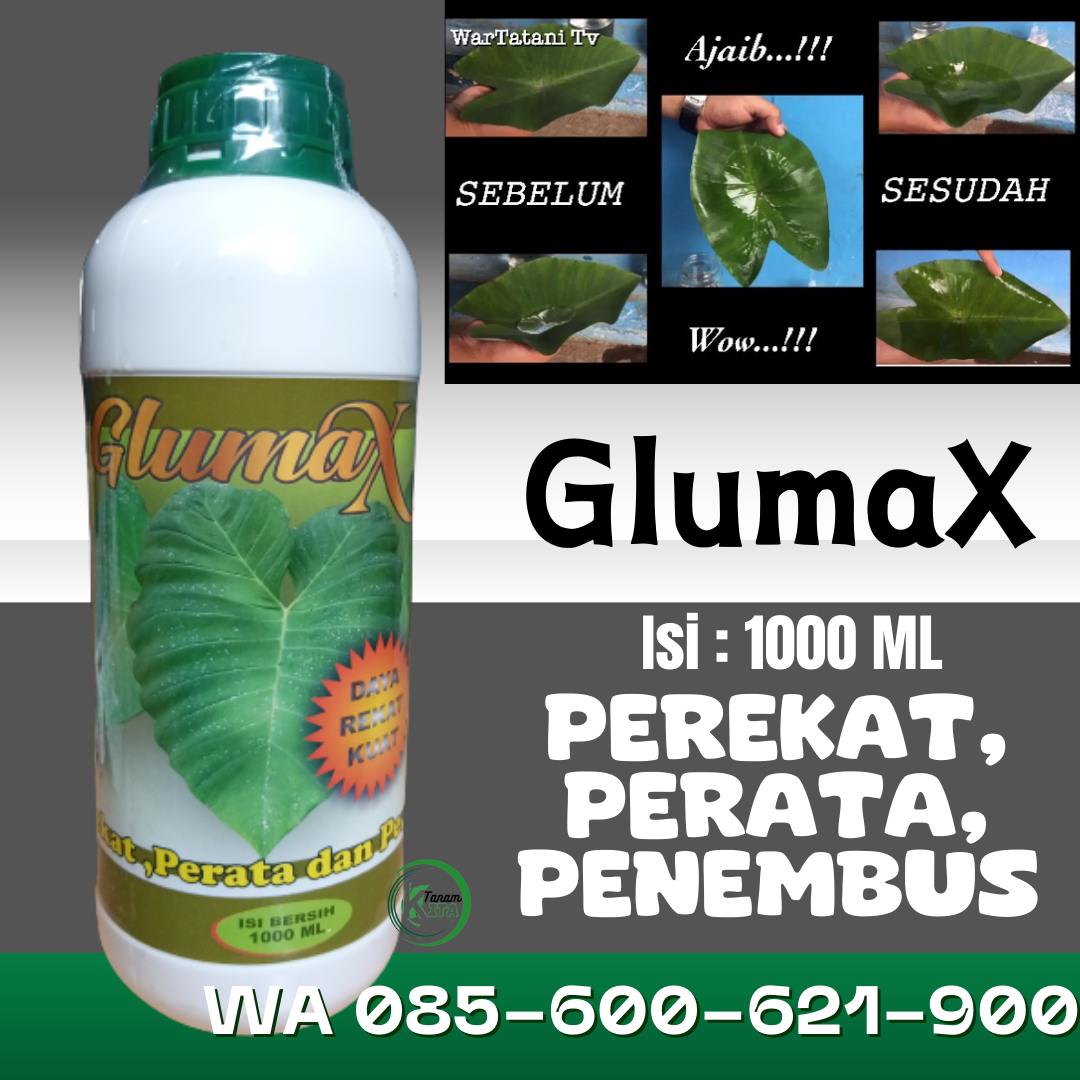REKOMENDED, 085–600–621–900, Pabrik perekat pupuk daun alami Badung ...