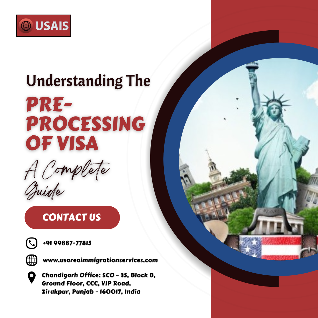 Understanding The Pre-Processing Of Visa: A Complete Guide - US Area immigration services - Medium