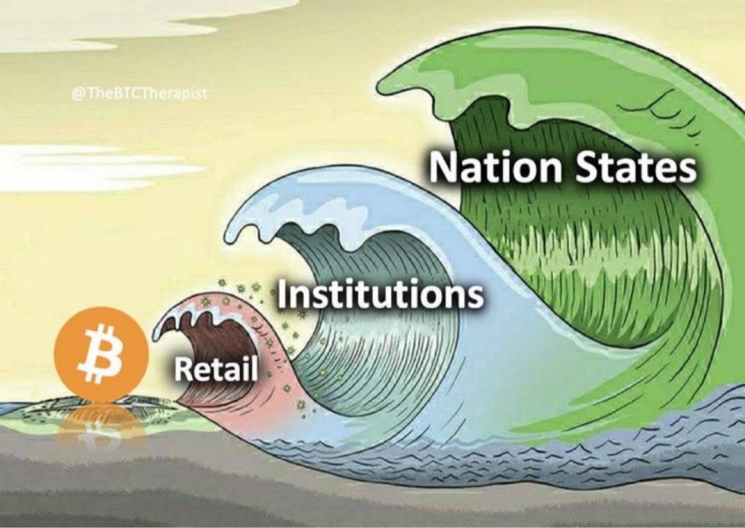 Bitcoin Buying: A Tale of Fish and Whales | by 2140 - The Rise of ...