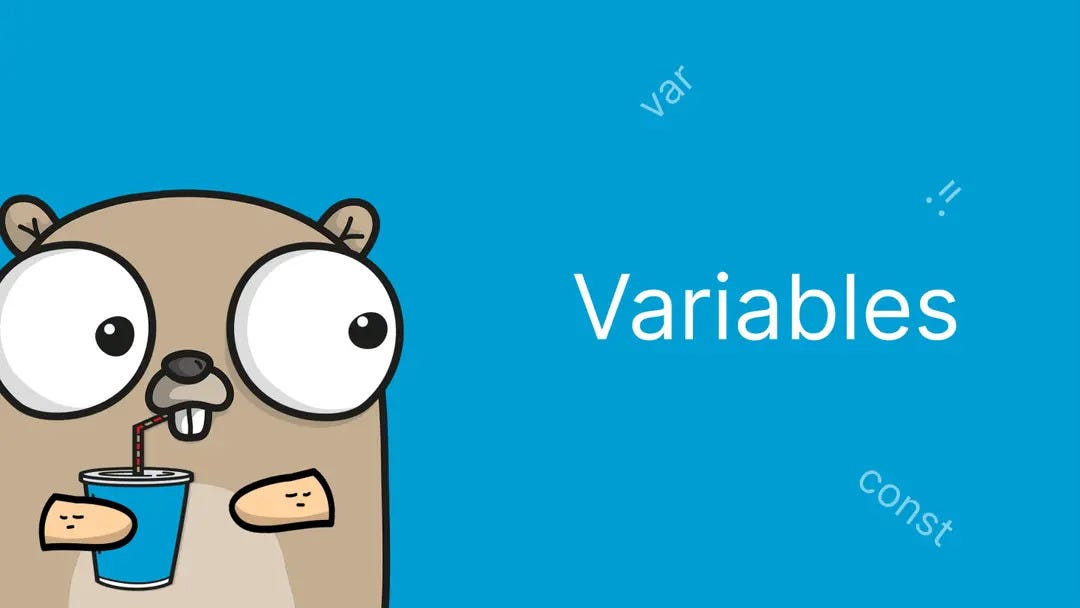 Best Practice: Declaring Variables in Go & Naming Variable in Go | by ...