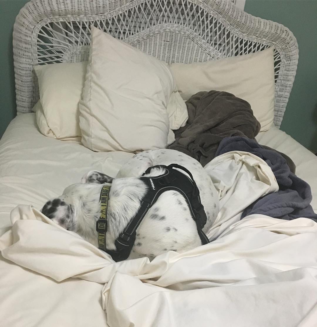 You Deserve a Total Bed Make-Over | by Rose Bak | ILLUMINATION | Medium