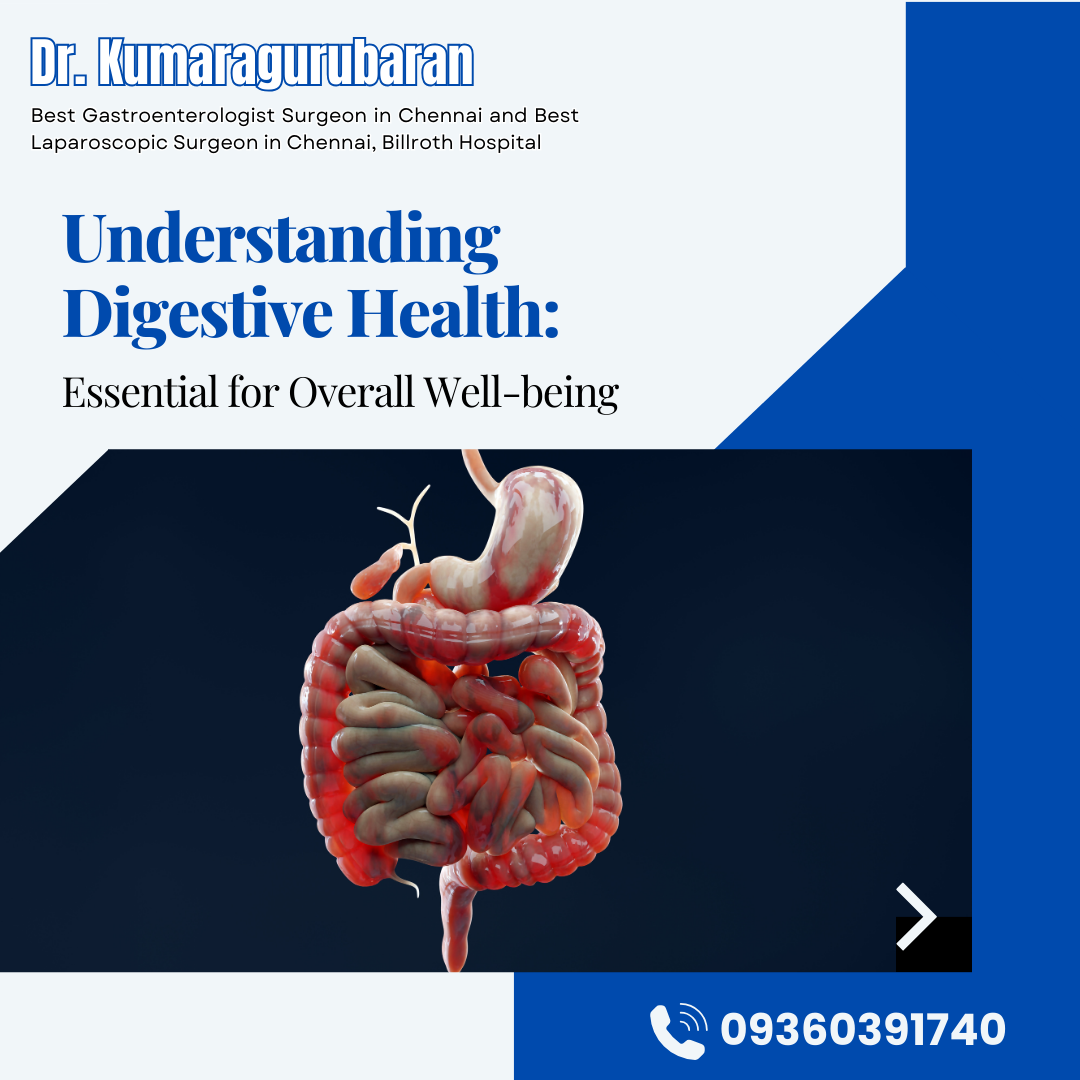 Unlock Digestive Wellness: A Guide to Gut Health | Best ...