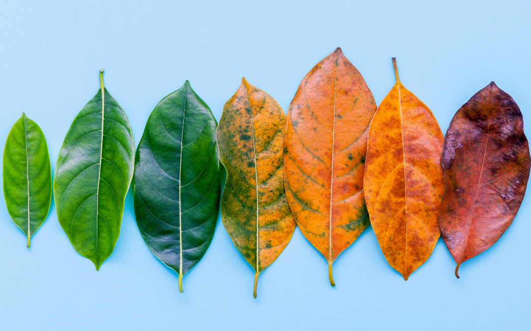A Foolproof Retirement Mindset | Kim Kelly Stamp | The Penny Pub