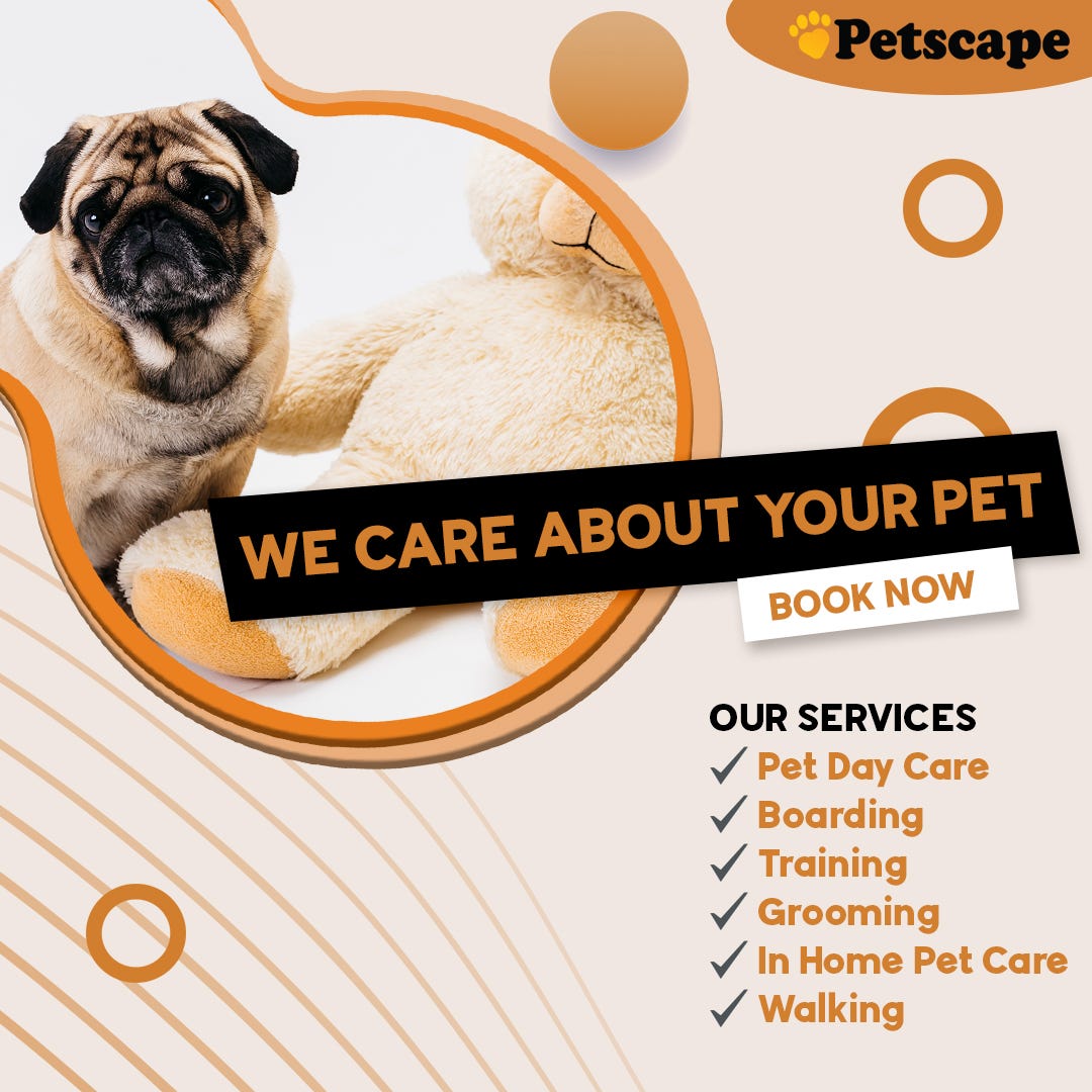 🐶 PET CARE SERVICES 🐶 Safe, Caring and Happy Places For Your Pet. Do ...
