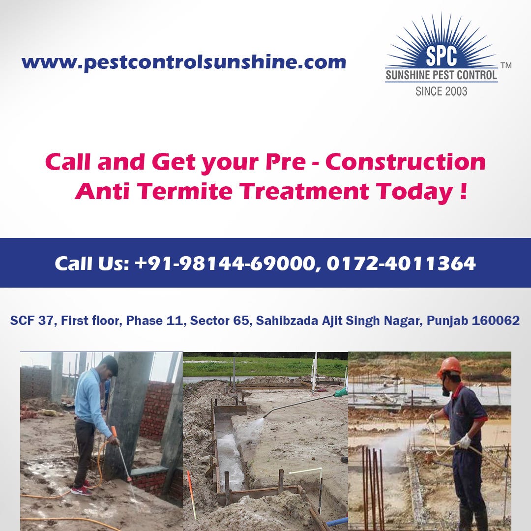 Sunshine Pest Control provides services on Anti-termite treatment ...