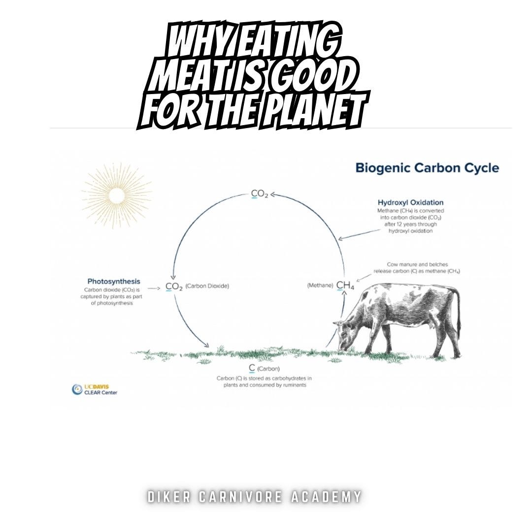 Why Eating Meat is Good for The Environment: Follow the Real Science ...