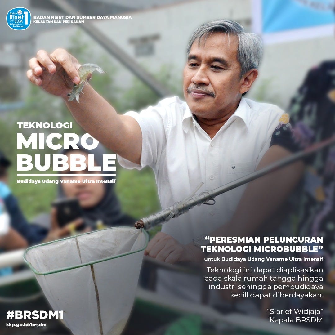 Microbubble, Teknologi Peningkat Produktivitas Akuakultur | by Aditya Chandra | Medium
