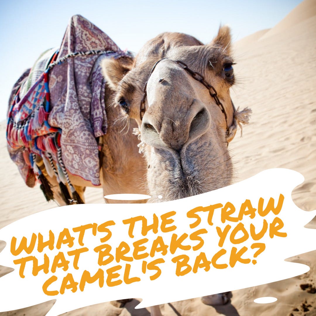 What will break YOUR camel’s back? | by Miriam Gilbert | Medium