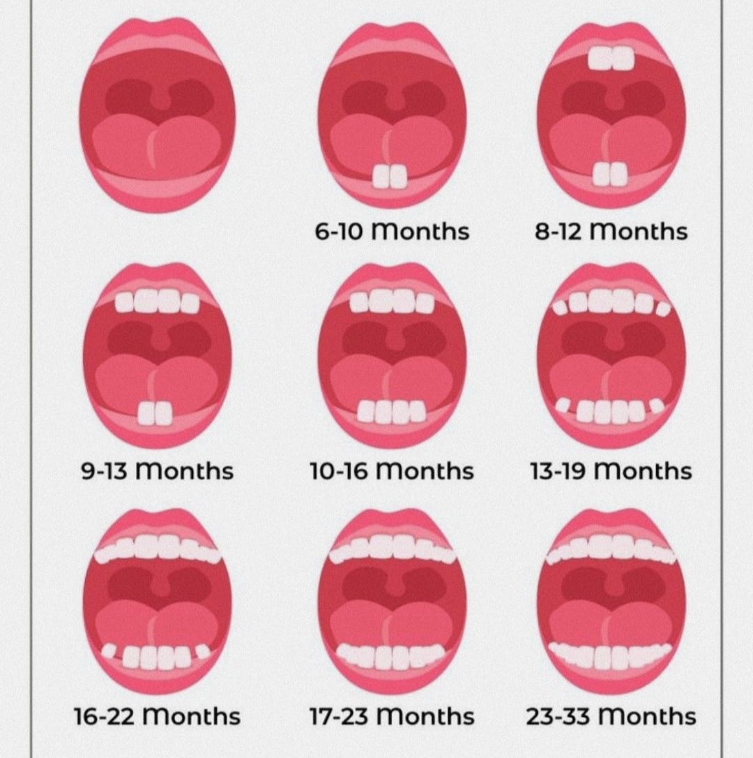 Tell age by looking at teeth. The estimation of juvenile age is more ...