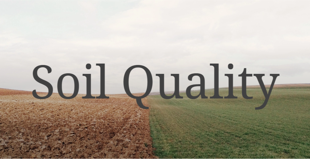 Our new responsibility towards sustainable world: Soil Quality | by ...