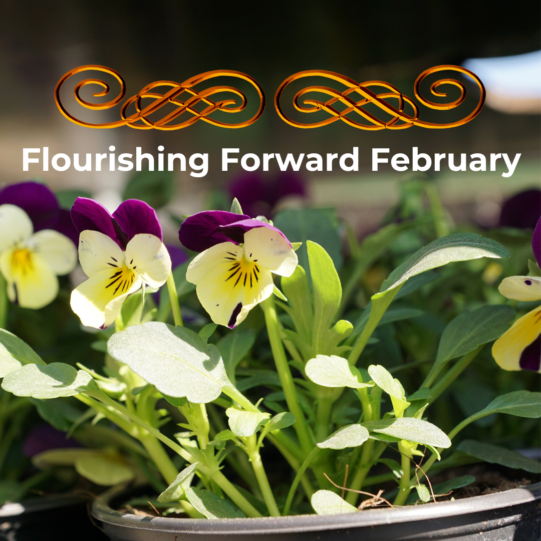 Flourishing Forward February. February is here and it’s time to move… | by MAJESTY AliNICOLE WOW ...