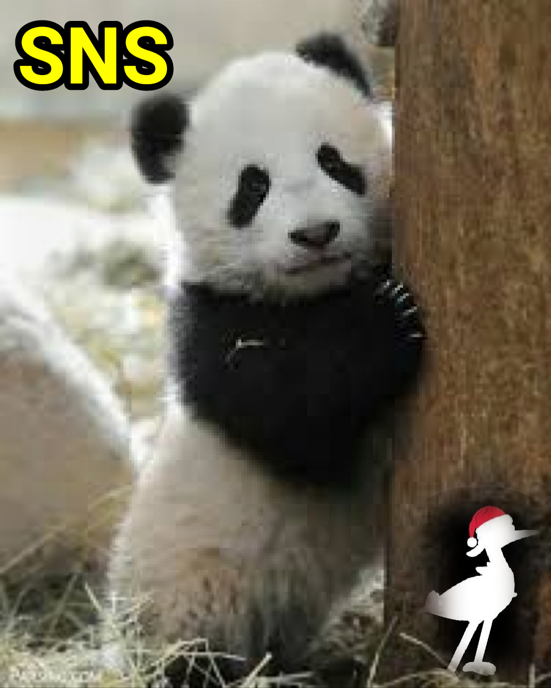 sns One must first understand the stork’s function. The stork job makes it feasible to identify ...