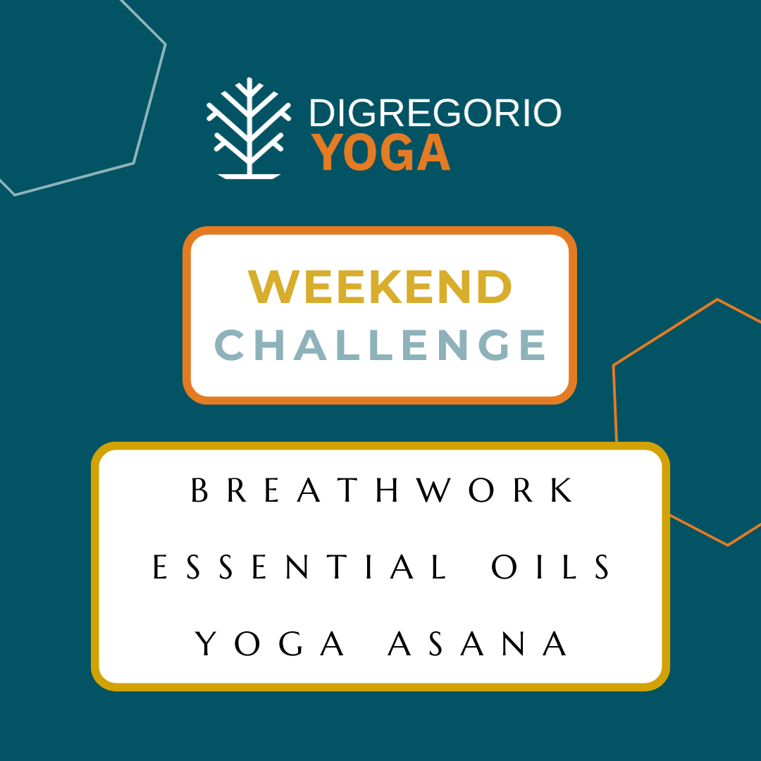 Weekly Digest: Integrating Wellness Practices for Optimal Well-Being ...