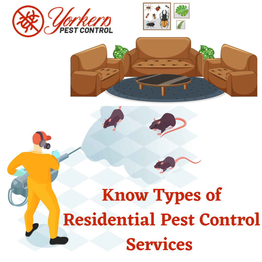 Know Types of Residential Pest Control Services | by Davo Zuby | Medium