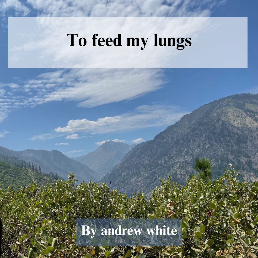 To feed my lungs. By andrew white | by Andrew White (Dry Erase Writing ...