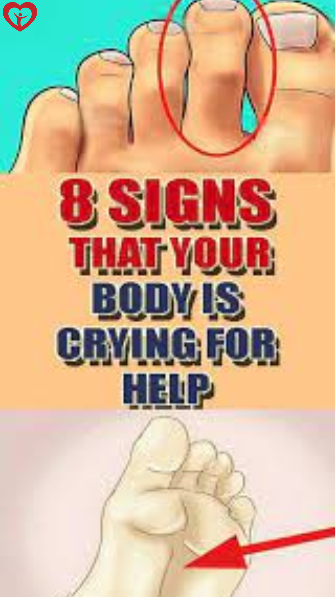 Our our bodies are a mechanism wherein many stuff manifest ...