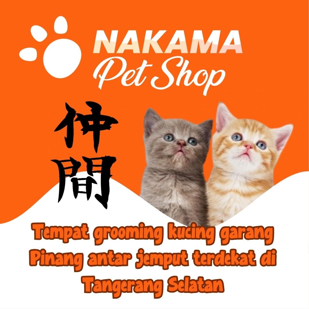 0819–1988–9899 (HALUS GLOWING), Salon groming cat Poris terdekat dari ...