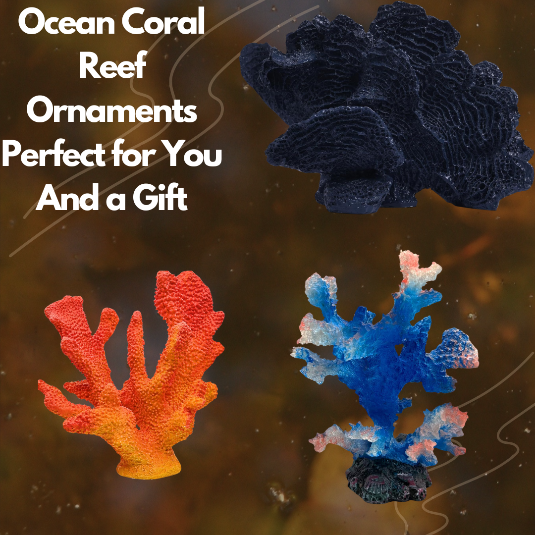 Ocean Coral Reef Ornaments Perfect for Decoration | by Roomzy | Medium