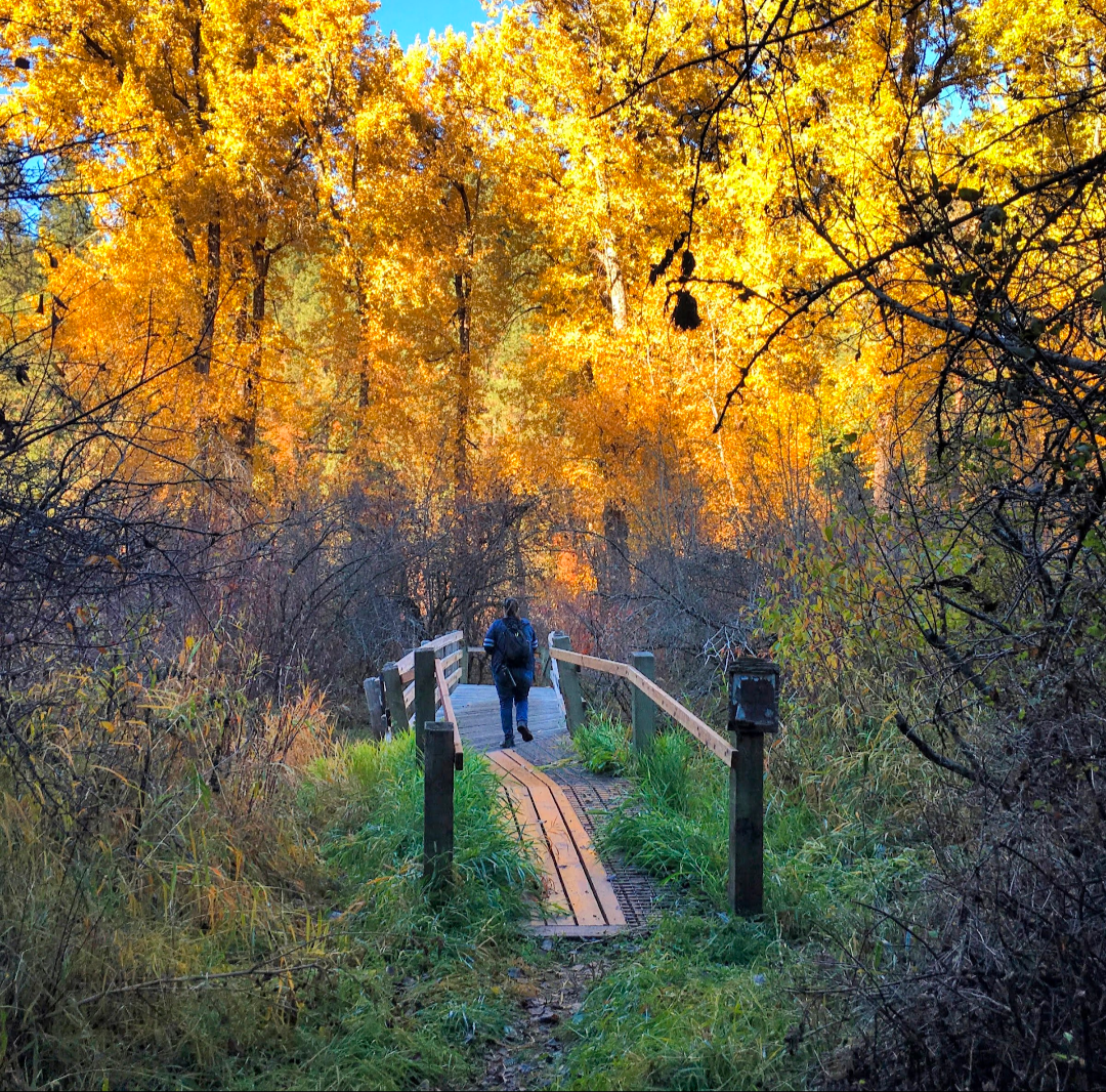 Go Outside Every Damn Day. It’s not a choice, it’s an imperative | by ...