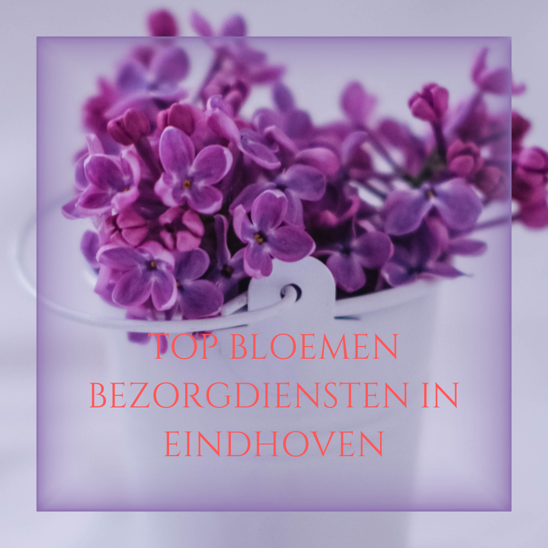 Ontdek de 10 beste bloemenbezorgdiensten in Eindhoven | by Haseeb Naeem | May, 2024 | Medium