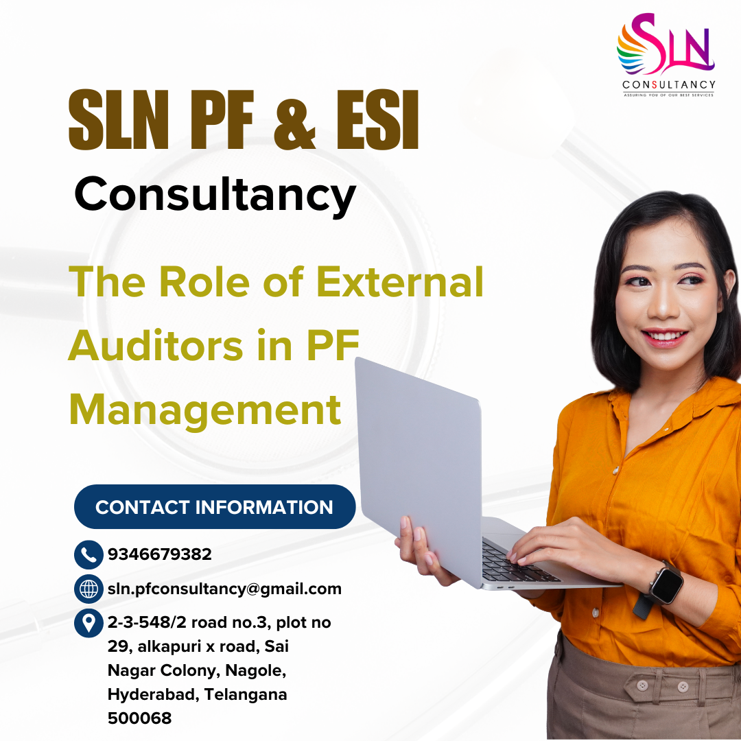 The Role of External Auditors in PF Management | by SLN Consultancy ...