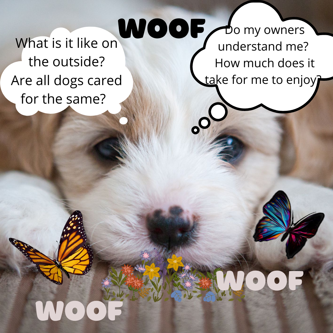 A dog’s life?. WOOF, hungry | by Ray En | Medium