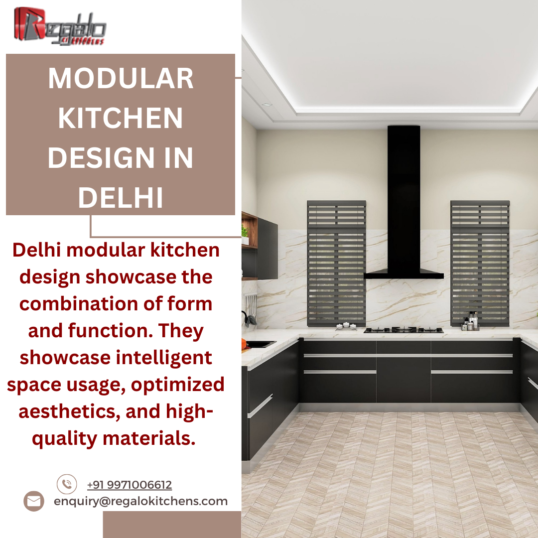 Modular Kitchen Design in Delhi - Regalo kitchens - Medium