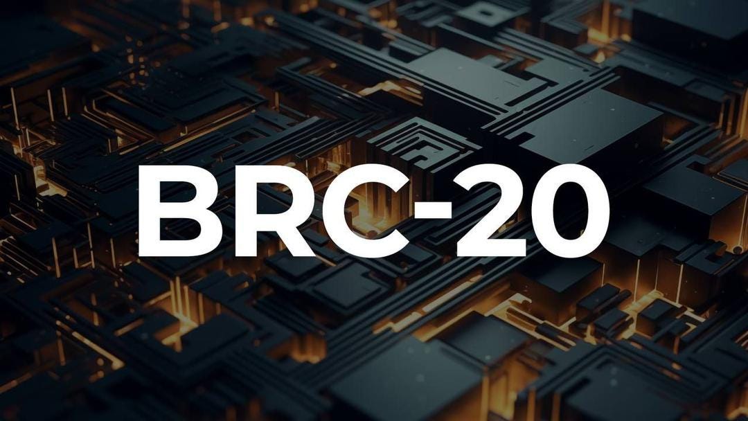 BRC20: Holding $COM the native token of BRC20 and Bitcoin Innovation | by Brainscience | Jan ...