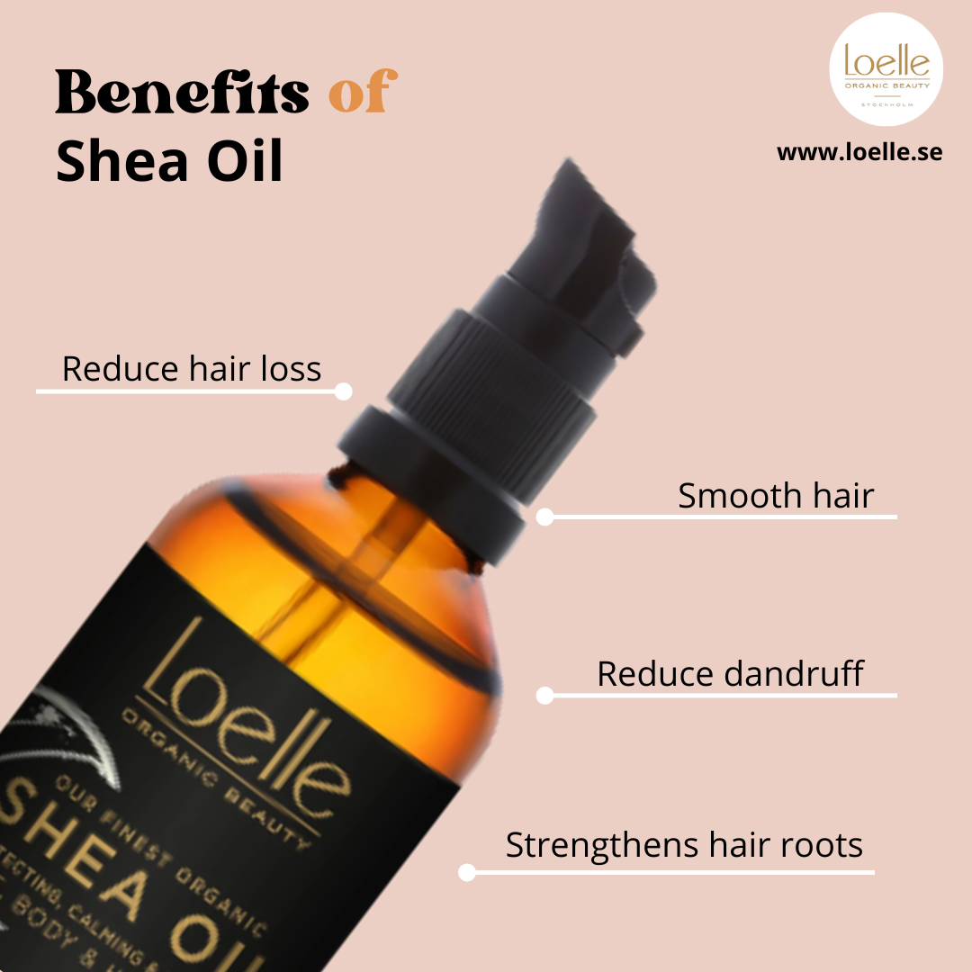 Organic Shea Oil 100ml for Face Skin | Loelle Organic Beauty - Loelle ...